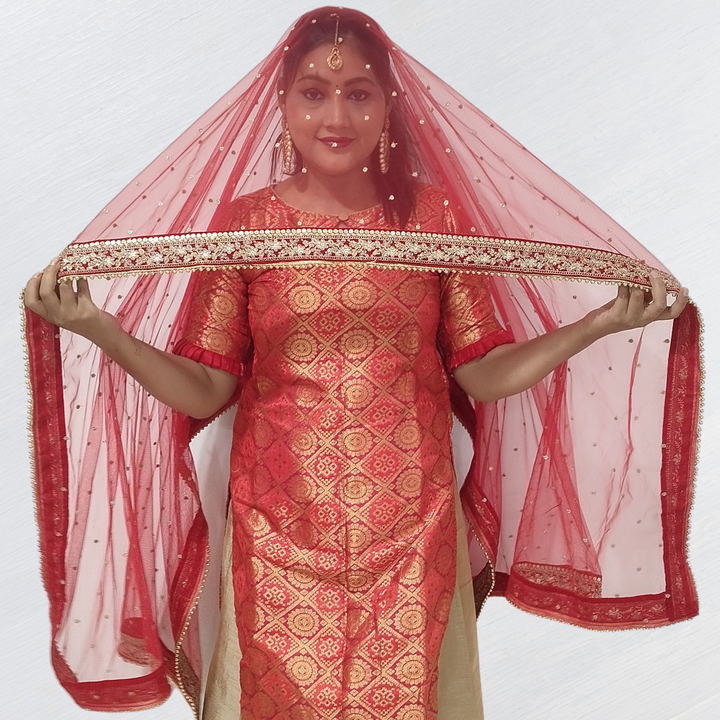 Heavy Work Designer Dupatta – Inhika.com